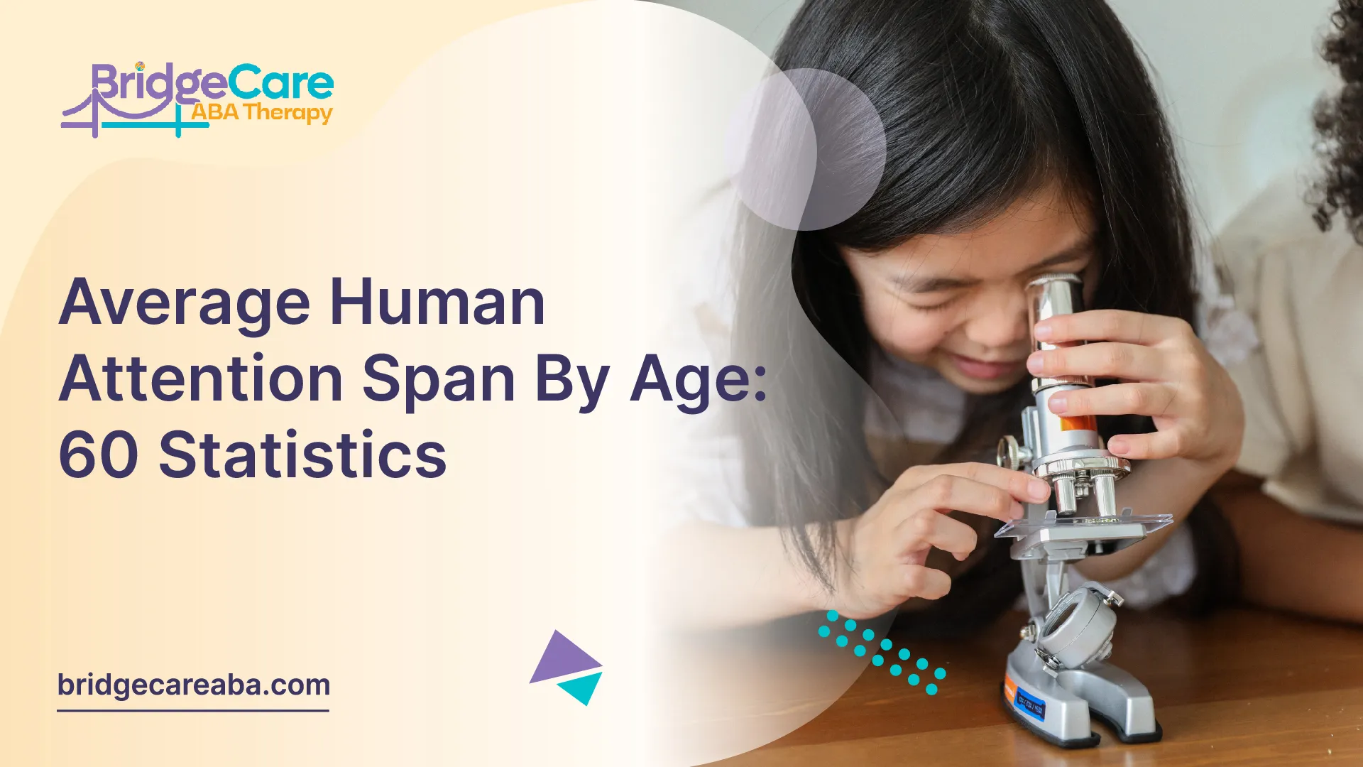 Average Human Attention Span By Age: 60 Statistics - Bridge Care ABA